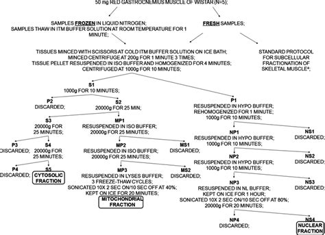 Organizational Chart Of The Subcellular Fractionation Modified
