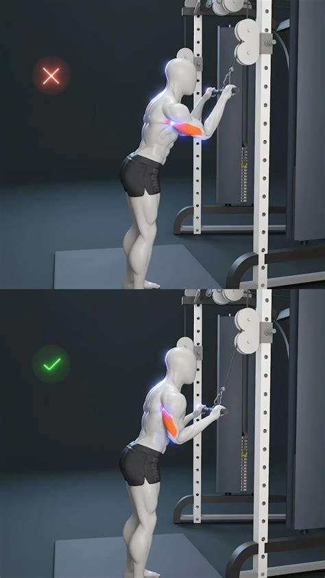 How To Target Long Head Of Triceps Perfect Pushdown Form Want Sleeve