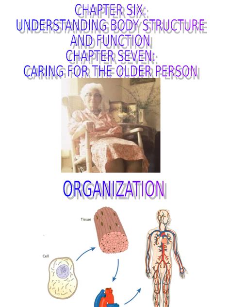 Chapter 6 And 7 Power Point Pdf