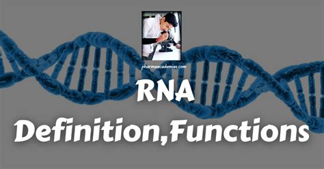Difference Between Nucleotide And Nucleoside With Examples