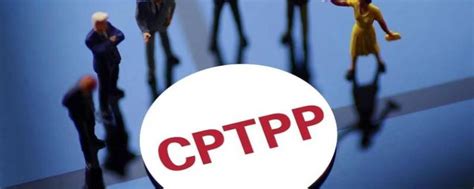 Cptpp成员国有哪些 业百科