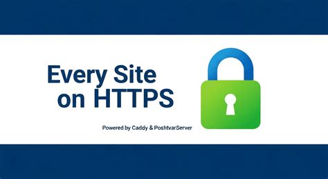 وب سرور Caddy چیست؟ پشتوار سرور