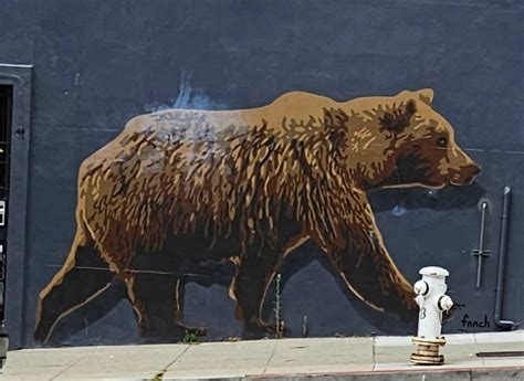California Bear By Fnnch Street Art Cities
