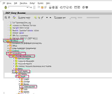 T Code AW N Display Asset Values