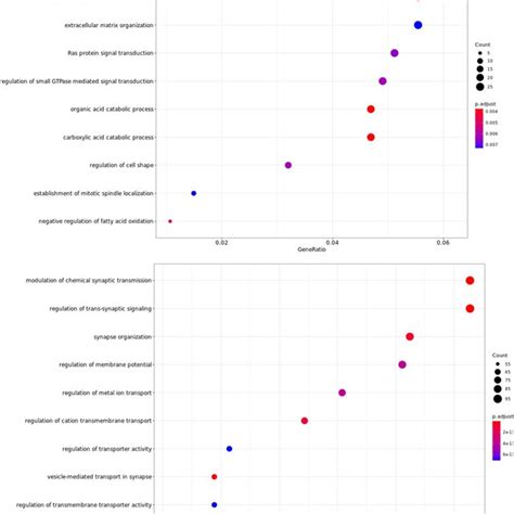 Dot Plot Of The Top 10 Enriched Pathways In The Mm1 Subtype Upper