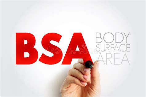 Bsa Body Surface Area Measured Or Calculated Surface Area Of A Human Body Acronym Text