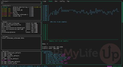 Using Lazydocker On The Raspberry Pi Pi My Life Up