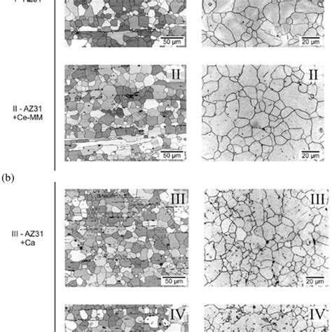 Shows Sem Micrographs Of The Microstructure Of Az31 Alloys After