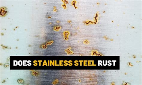 Does Stainless Steel Rust Scribetaste