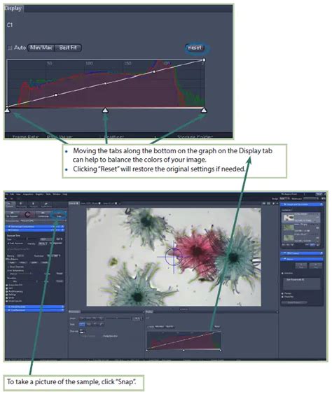 Microscope World Zeiss Zen Lite Software User Guide