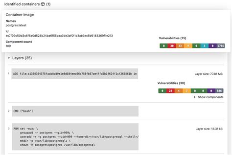 Black Duck Binary Analysis Overview