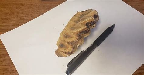 Elephant Tooth Album On Imgur