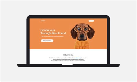 Software Testing Campaign Behance