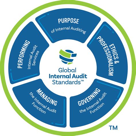 Global Internal Audit Standards 2024 IIA