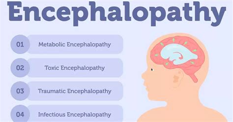 Exams And Me Toxic Metabolic Encephalopathy