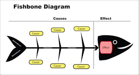 Wondershare EdrawMind Mind Mapping Software