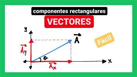 La Importancia De Los Componentes Rectangulares De Un Vector Claves