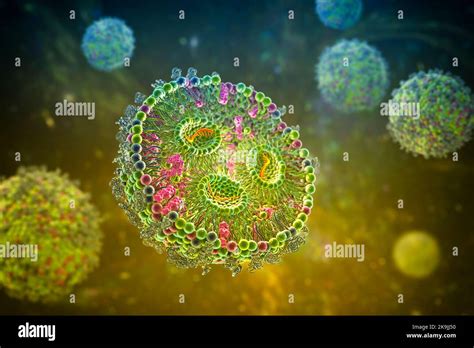 Lipid Nanoparticle MRNA Vaccine Illustration Stock Photo Alamy