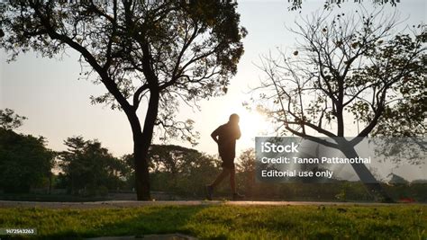 깨끗한 공기로 아침에 조깅하는 사람들 그늘진 공공 정원에서 02 01 2023 태국 수도 방콕 한가운데에 공원에 대한 스톡 사진 및 기타 이미지 Istock
