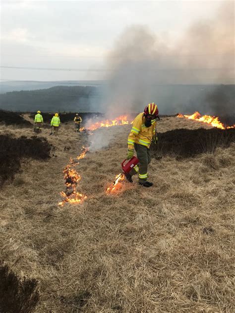 2020, the UK's unprecedented fire season