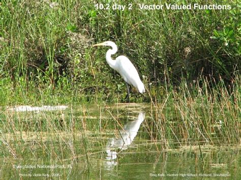 Calculus 10 2 Day 2 Vector Valued Functions Ppt For 11th 12th Grade Lesson Planet