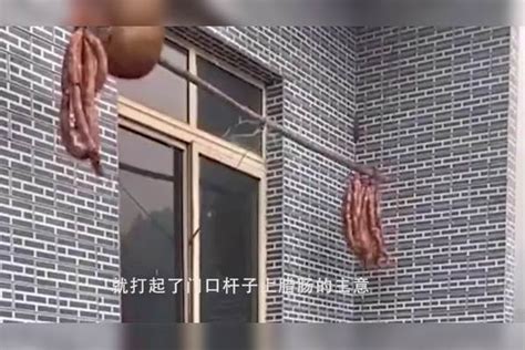 小猫咪偷香肠不料功夫不到家大半夜给我笑醒了 香肠 功夫