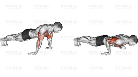 Reverse Push Up Exercise Guide Video Techniques Benefits How To