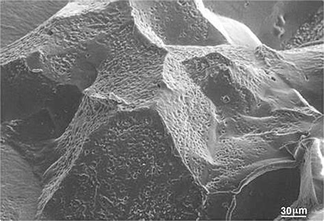 Replica Examination Microset Inspection Moulding Accuracy