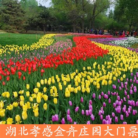 提前部分还款计算器 提前部分还款的同时缩短贷款期限 随意云
