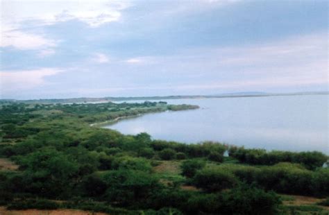 Ганга нуурын талаас илүү нь ширгэжээ Ubinfomn