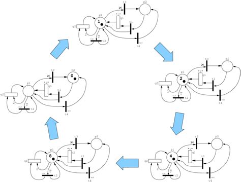 5 Behavioural Analysis Of A Dfn Model Download Scientific Diagram