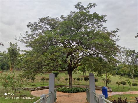 Xiaomi Mi T Pro G Review Almost Complete As A Flagship Device Technave