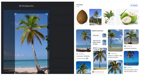Visual Search Guide What Is It And How To