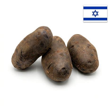 תפוח אדמה סגול קילוגרם הזמינו אונליין משק טל דיירקט