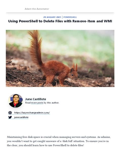 Using Powershell To Delete Files With Remove Item And Wmi Pdf