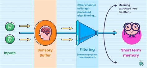 Understanding Broadbents Filter Model Of Attention Genspark
