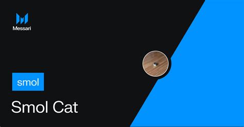 Smol Cat Price Smol To Usd Research News And Fundraising Messari