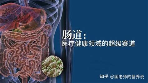 什么样的肠道才是健康的 知乎