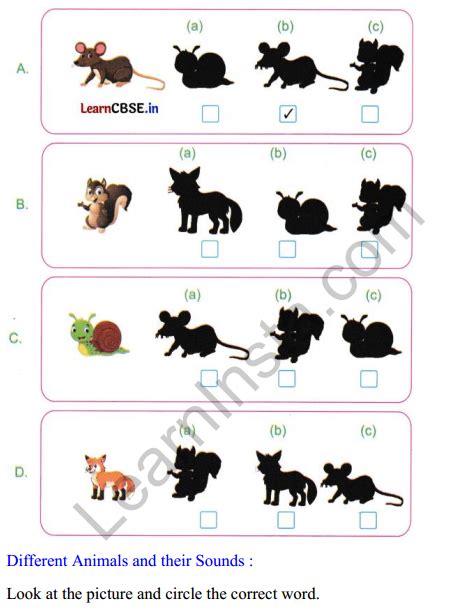 Shadow Story Class 2 Worksheet With Answers Maths Chapter 4