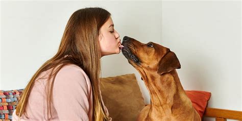 Почему собака лижет ноги руки лицо хозяина и других людей — Лайфхакер