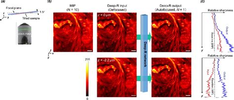 Figure 4 From Single Shot Autofocusing Of Microscopy Images Using Deep