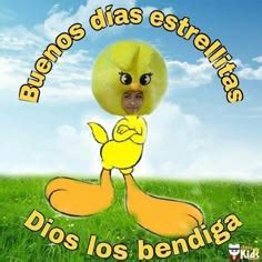 33 Ideas De Memes Para Exposiciones En 2025 Imágenes Graciosas