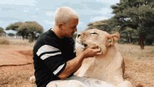 Lion Hug Man GIFs Tenor