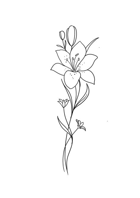 Flower Stem Drawing