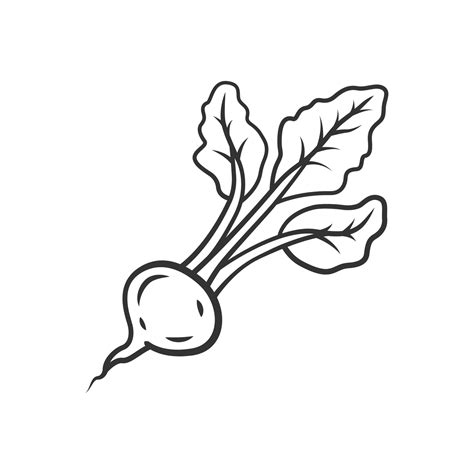 Radish Linear Icon Agriculture Plant Organic Food Vegetable Farm