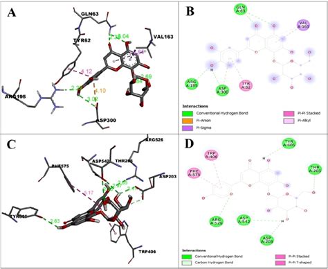 3d And 2d Views Of The Binding Site Interaction Interaction Of The
