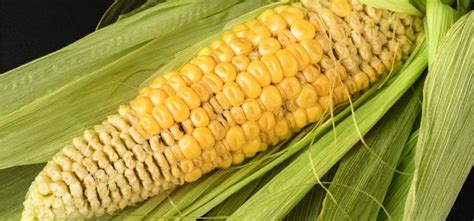Sweetcorn Grow Guide