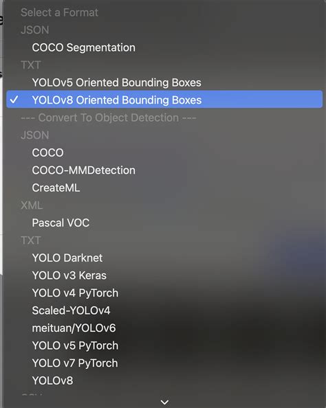 Export Instance Segmentation Project To YOLO Formatted Txt Community