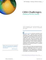 CRM Challenges CRM Challenges Building An Effective Strategy 1 CRM Challenges Building An