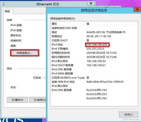 Linux系统管理与编程11 Dhcp中继服务部署在linux如何配置dhcp中继 Csdn博客